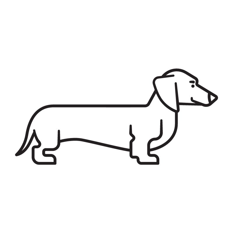 What Is A Merle Dachshund? 12 Types of These Rare Dogs